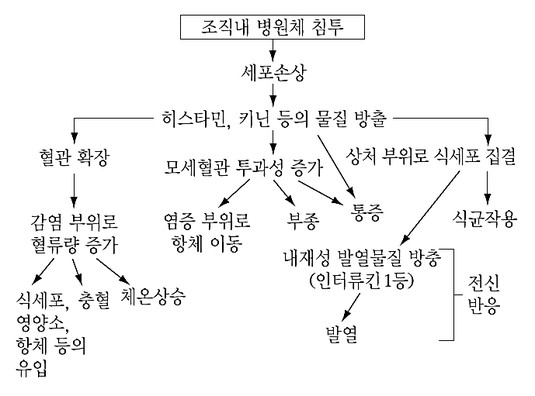 염증과 염증반응 네이버 블로그